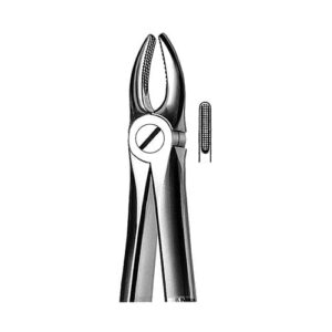 Guía Completa sobre los Fórceps Dentales: Características ...