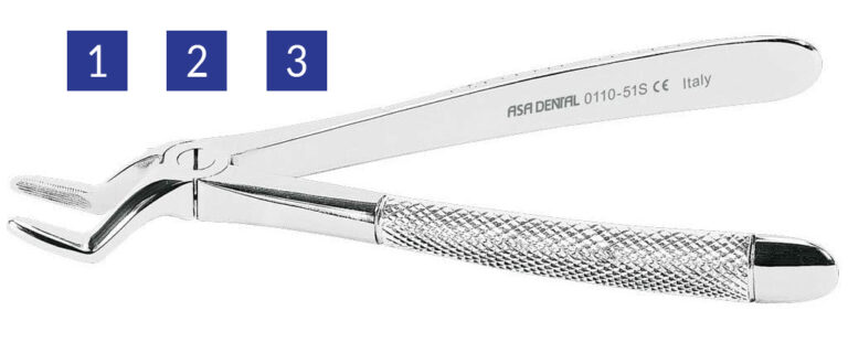 Guía Completa sobre los Fórceps Dentales: Características ...